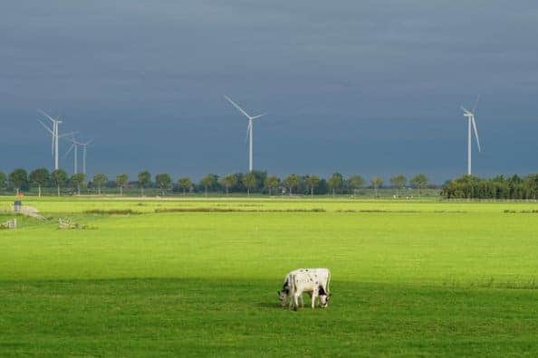 Goedkoopste energieleverancier met groene stroom: bij wie moet je zijn?